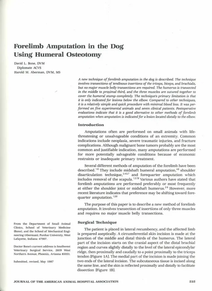Forelimb amputation in the dog using humeral osteotomy