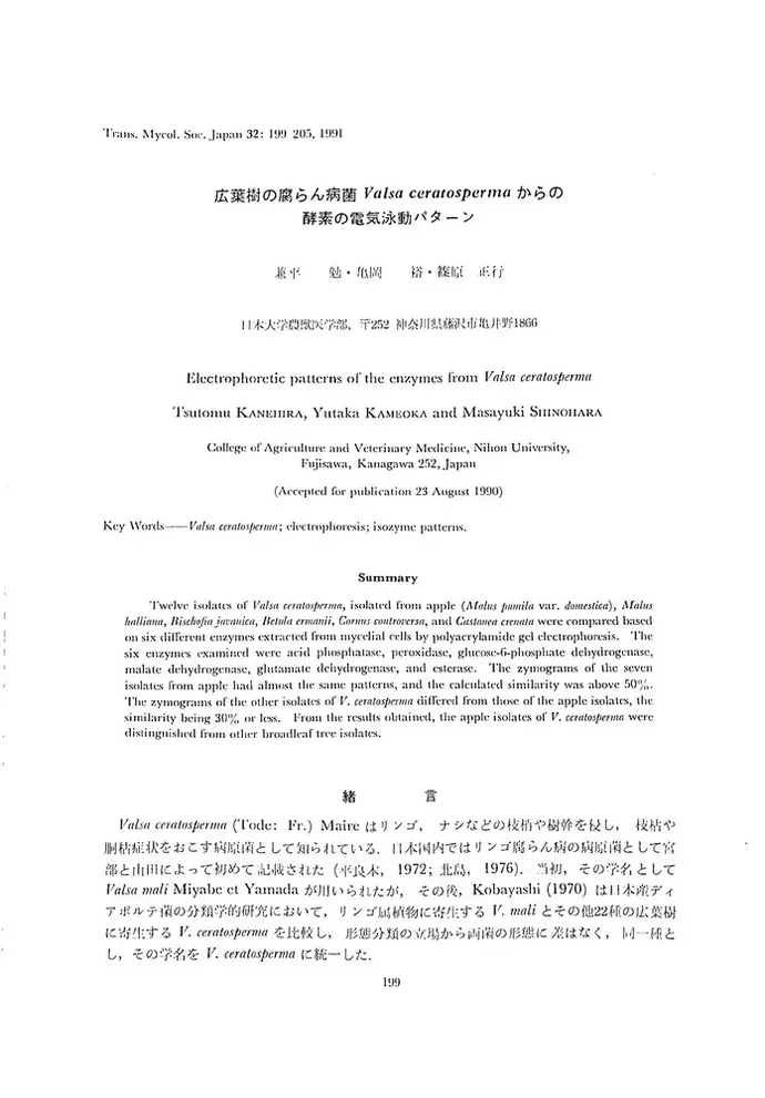 Electrophoretic patterns of the enzymes from Valsa ceratosperma