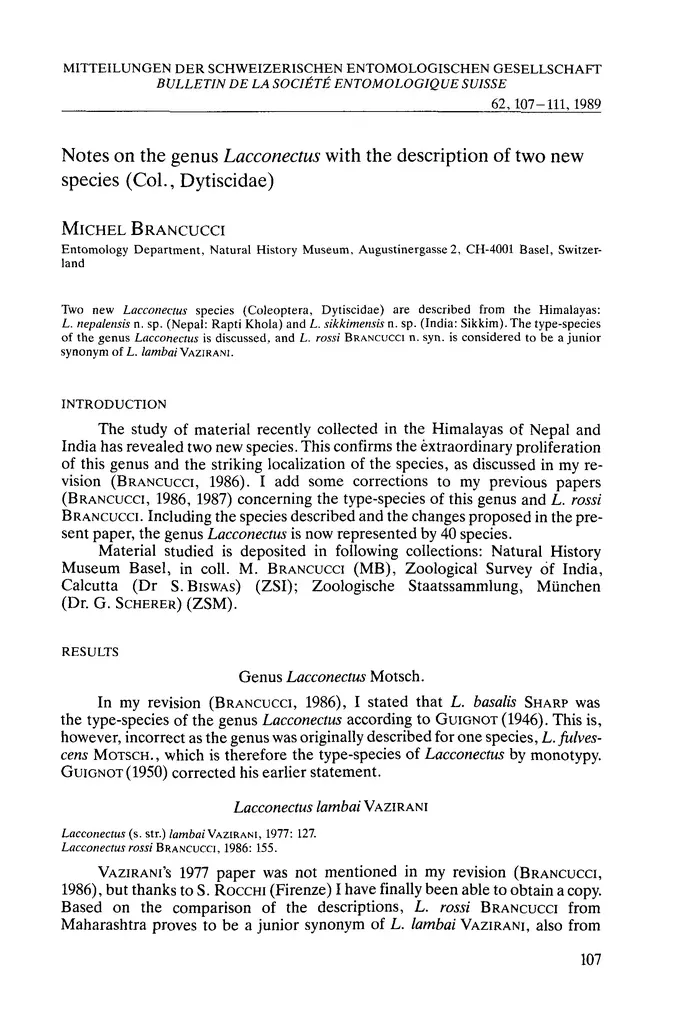 Notes on the genus Lacconectus with the description of two new species ...