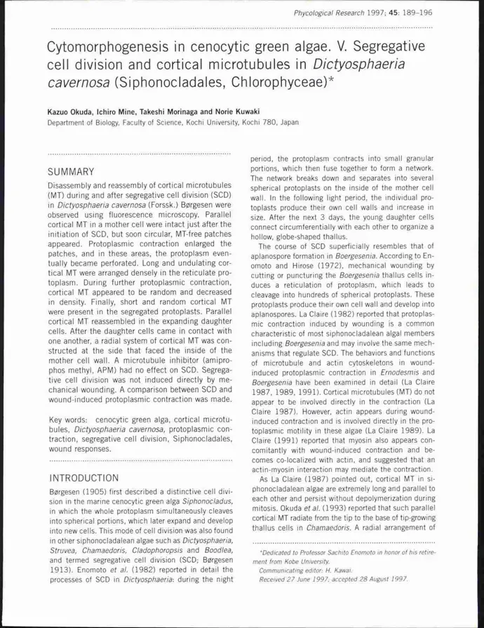 Cytomorphogenesis in cenocytic green algae: V. Segregative cell ...