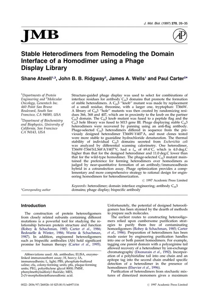 Stable heterodimers from remodeling the domain interface of a homodimer ...