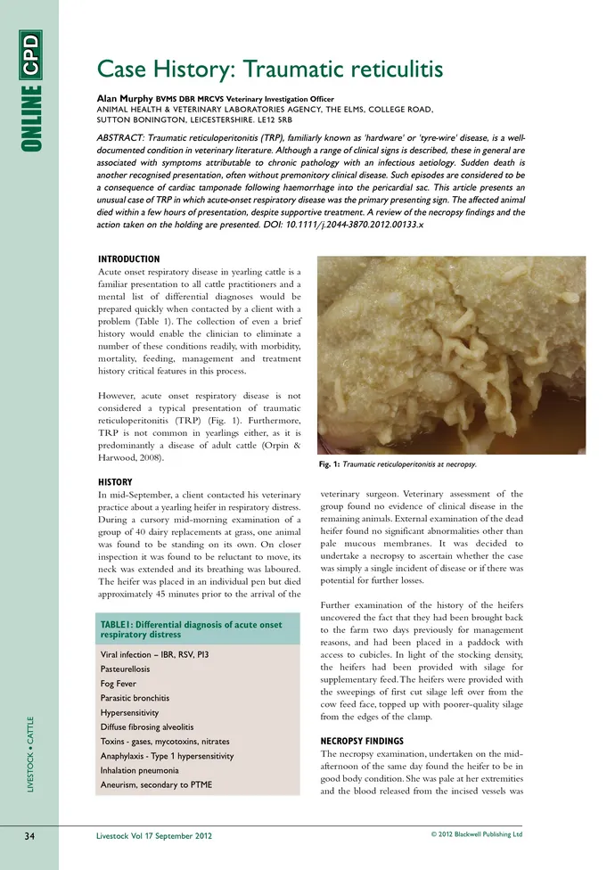 Case History Traumatic reticulitis