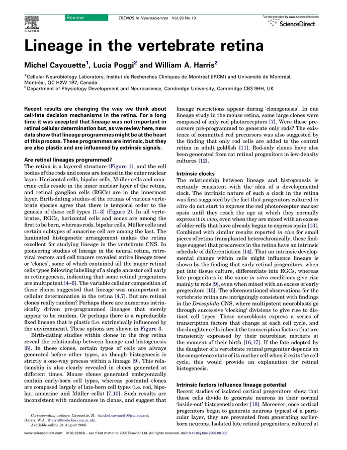 Lineage in the vertebrate retina