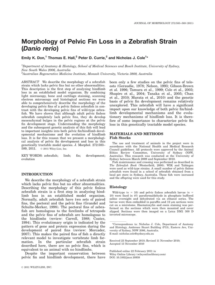 Morphology of pelvic fin loss in a zebrafish strain (Danio rerio)