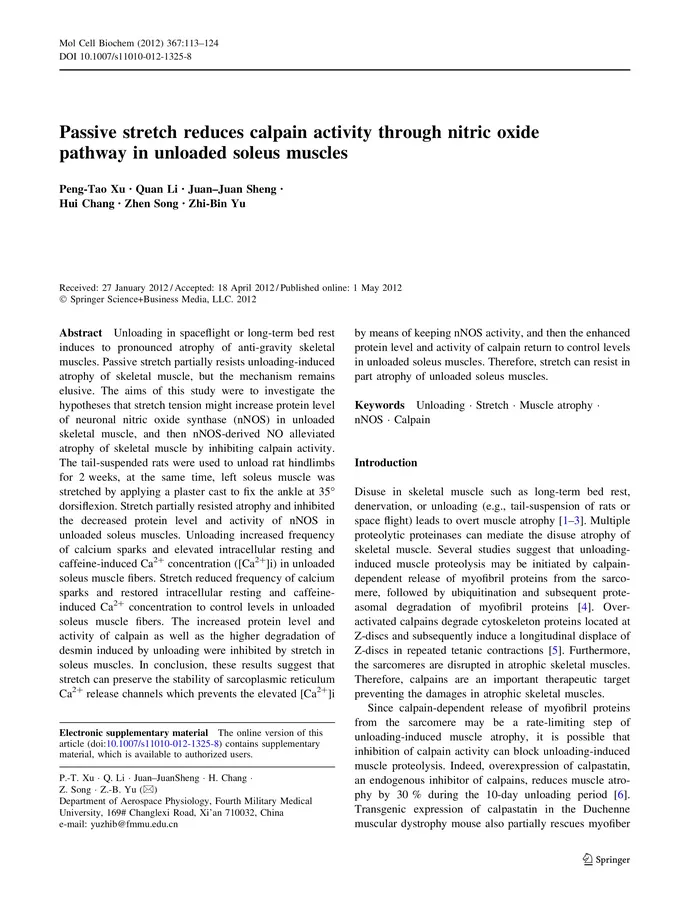Passive stretch reduces calpain activity through nitric oxide pathway ...