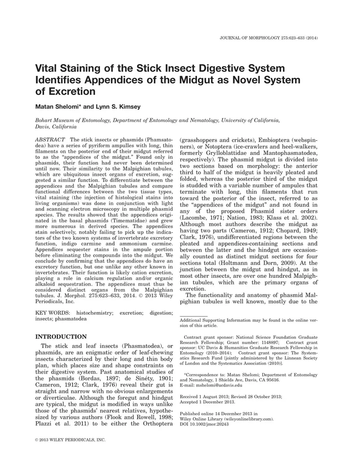 Vital staining of the stick insect digestive system identifies ...