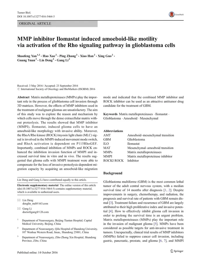 MMP inhibitor Ilomastat induced amoeboid-like motility via activation ...